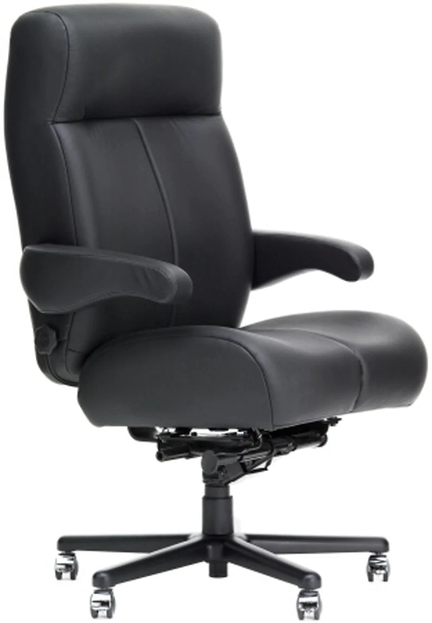 ERA Office Chairs | Big Sur Office Chair with Headrest