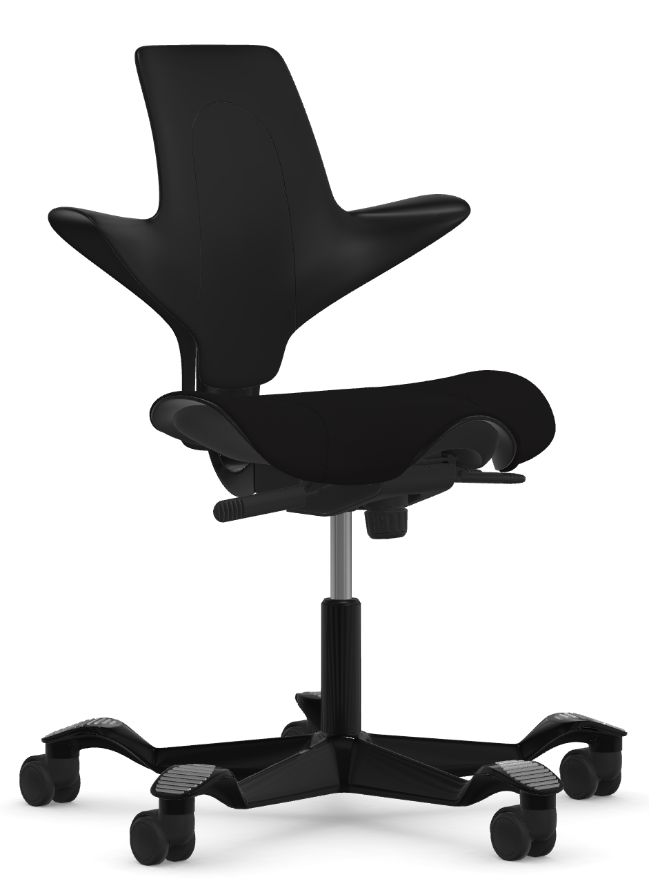9 to 5 HÅG CAPISCO PULS Modern & Ergonomic Task Chair